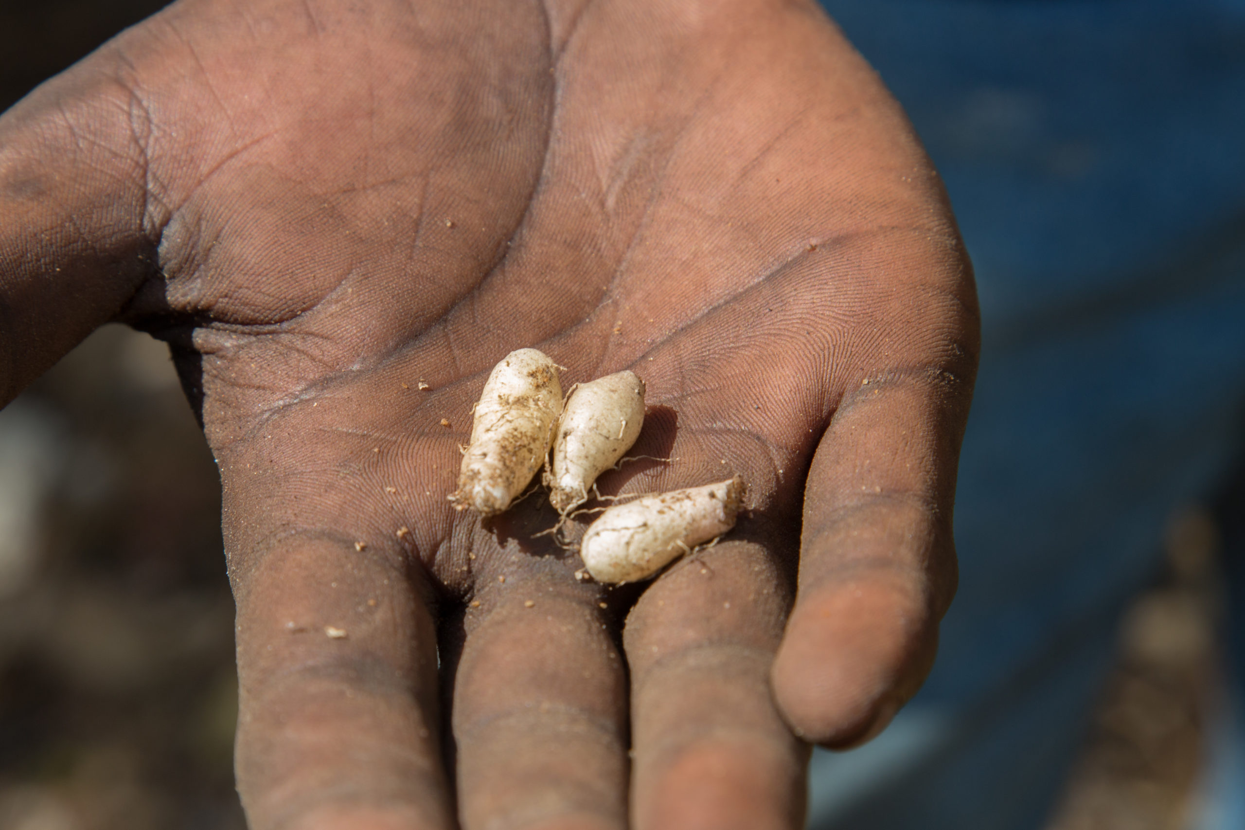 Social and cultural values project (NAWFA) - NESP Resilient Landscapes Hub