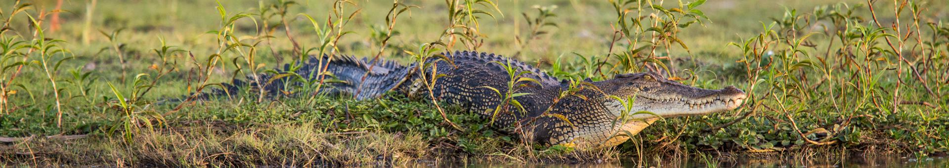 Videos - NESP Resilient Landscapes Hub