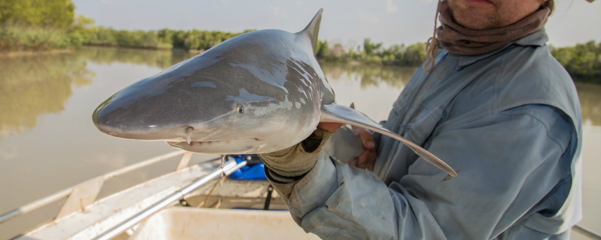 News - NESP Resilient Landscapes Hub