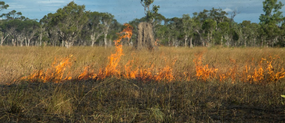 Lessons from Indigenous fire management - NESP Resilient Landscapes Hub