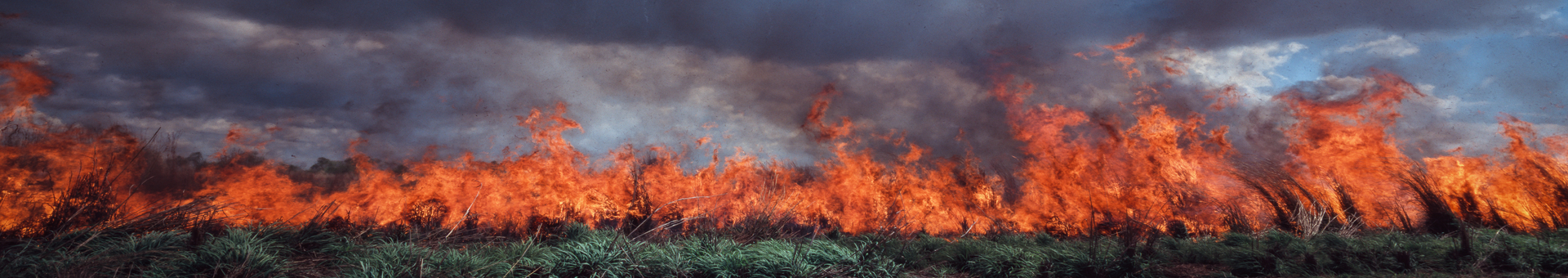 Identifying high-priority areas in northern Australia for threat ...