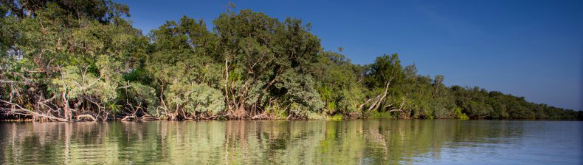 Developing the north - NESP Resilient Landscapes Hub