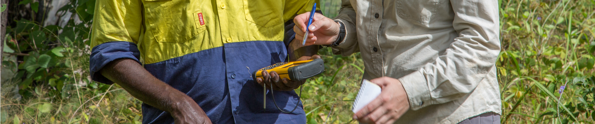 Monitoring Lama Lama wetlands - NESP Resilient Landscapes Hub