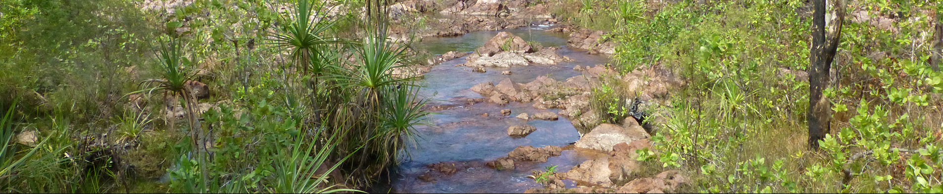 Environmental flows and ecological assets - NESP Resilient Landscapes Hub