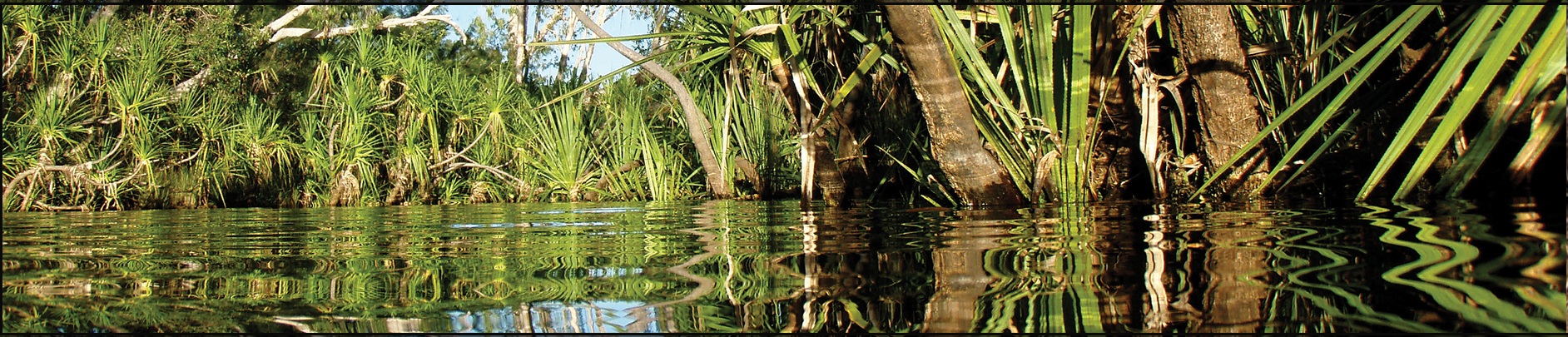 River foodwebs - NESP Resilient Landscapes Hub