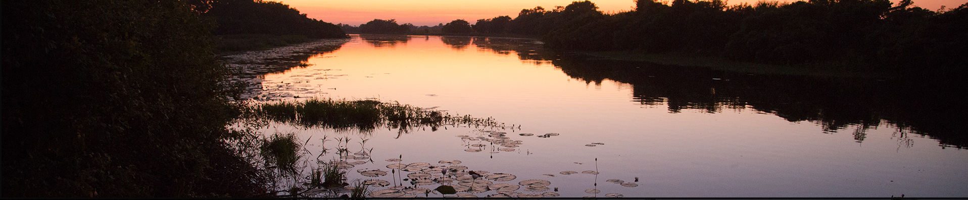 Healthy estuaries - NESP Resilient Landscapes Hub