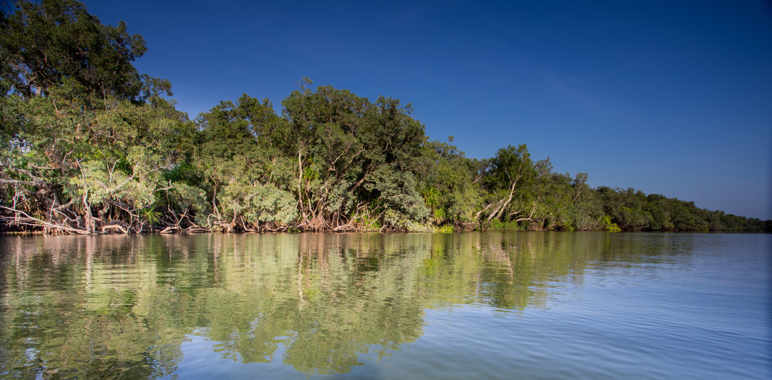 Scenarios for tropical rivers and coasts - NESP Resilient Landscapes Hub