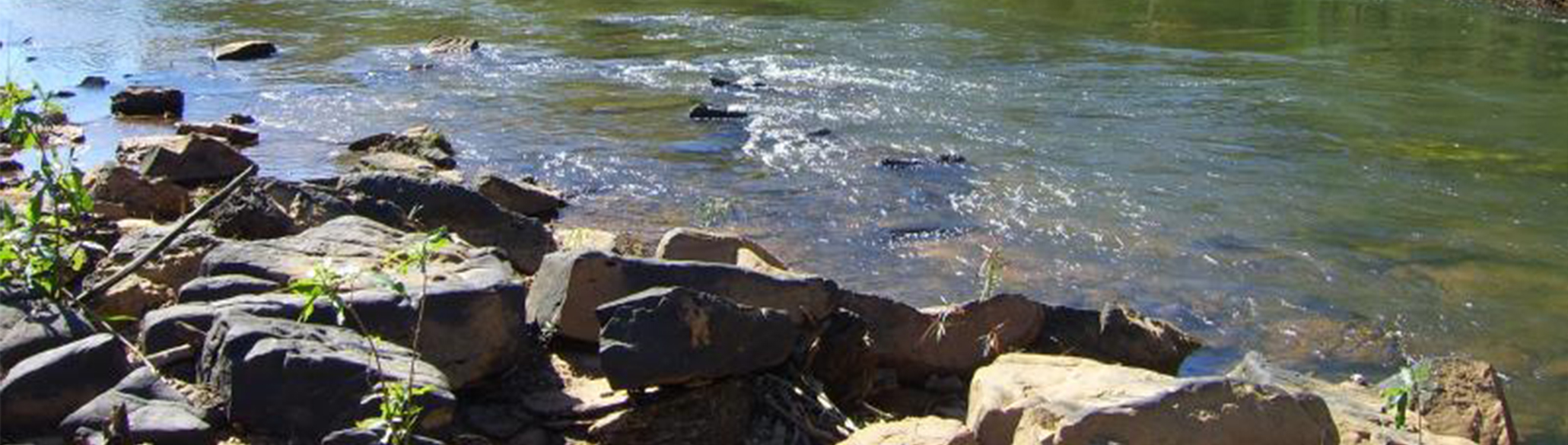 Collaborative water planning - NESP Resilient Landscapes Hub