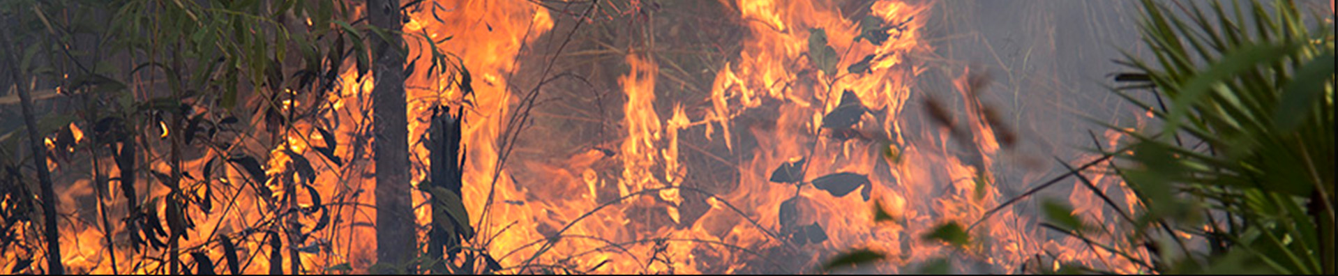 Savanna carbon sequestration method - NESP Resilient Landscapes Hub