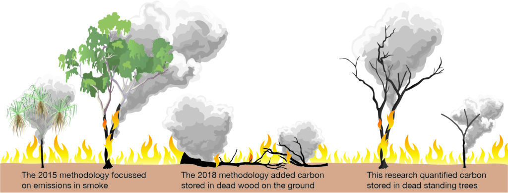 Savanna carbon sequestration method - NESP Resilient Landscapes Hub