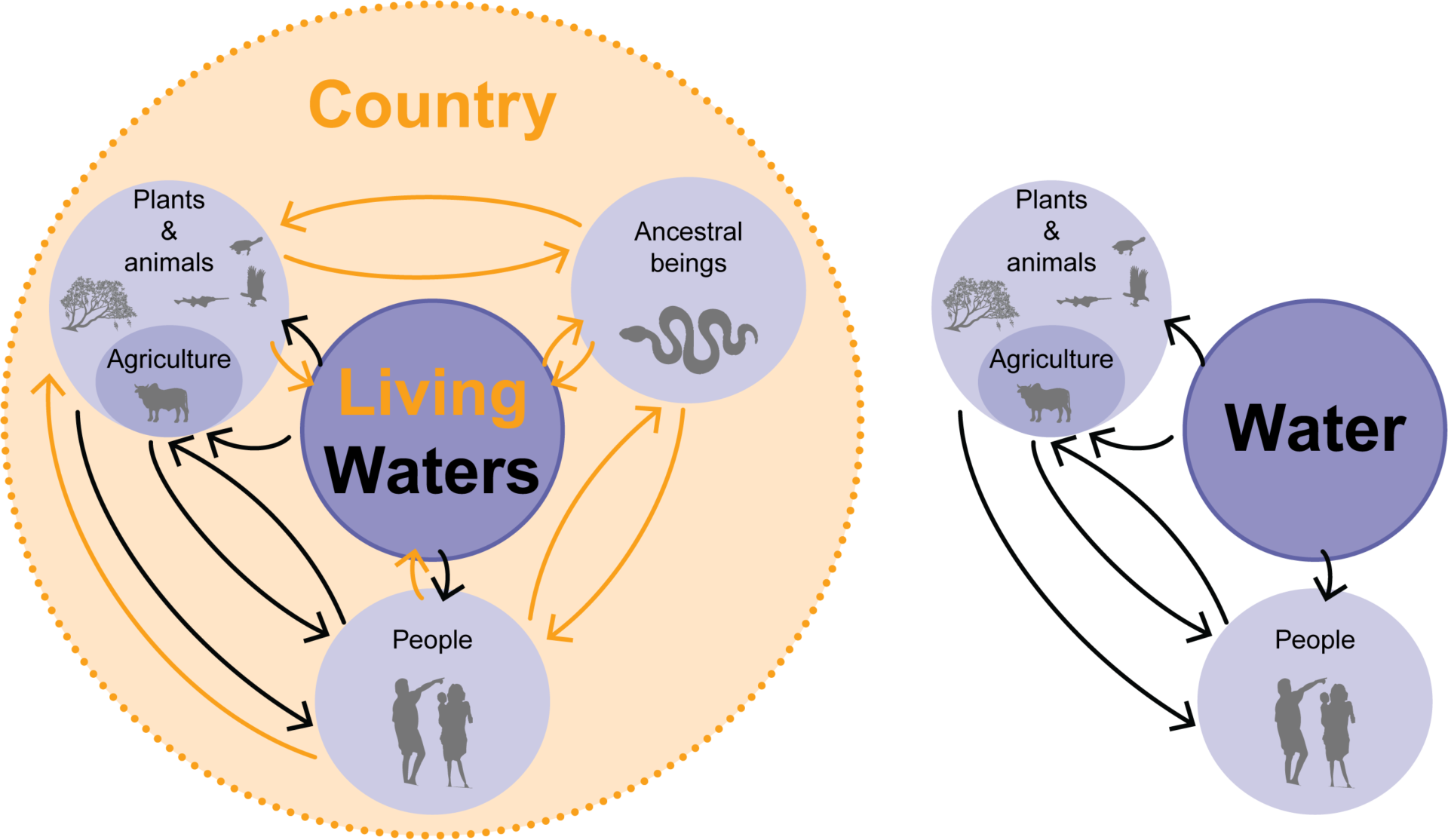 Indigenous water needs for the Martuwarra/Fitzroy River - NESP ...
