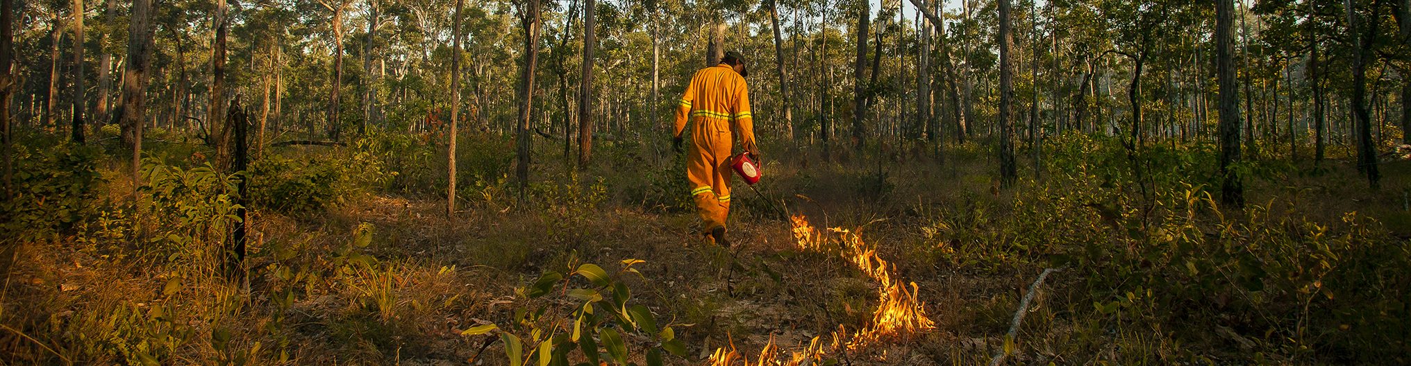 Developing protocols for Indigenous fire management partnerships - NESP ...