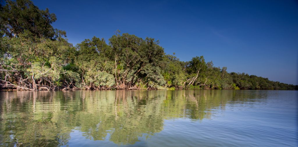 Science to underpin sustainable water development - NESP Resilient ...