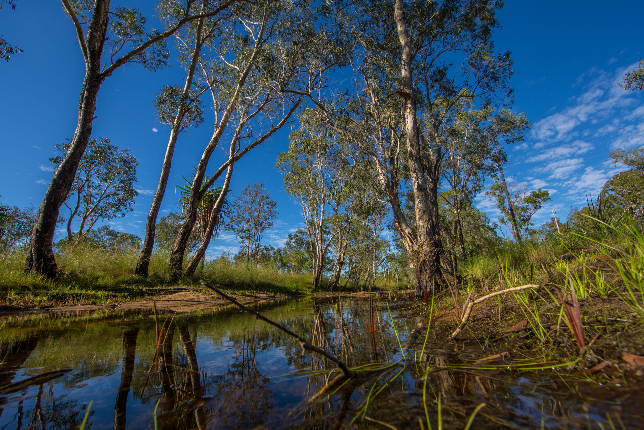 Managing savanna riparian zones in northern Australia
