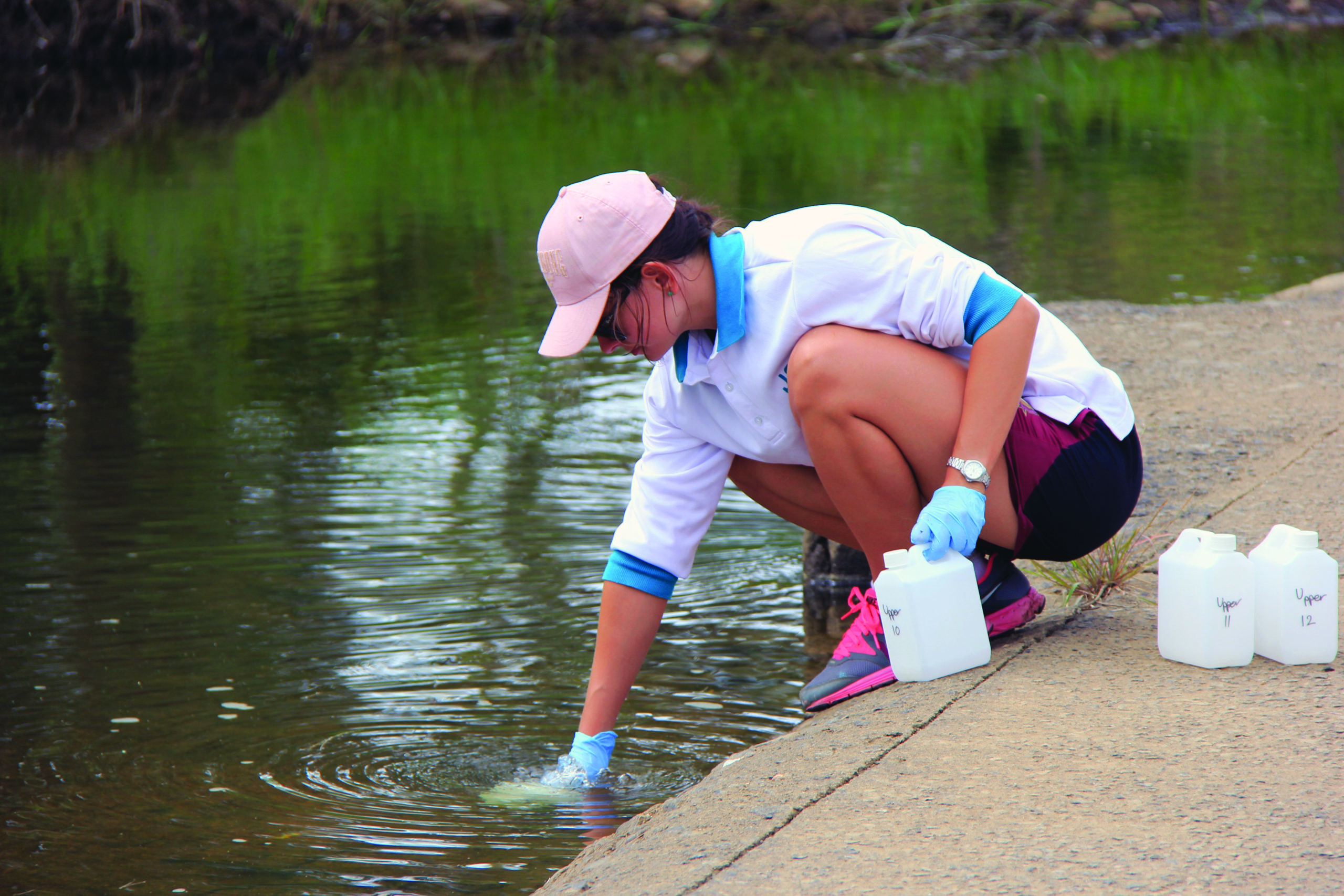 Developing eDNA methods for tropical waters - NESP Resilient Landscapes Hub