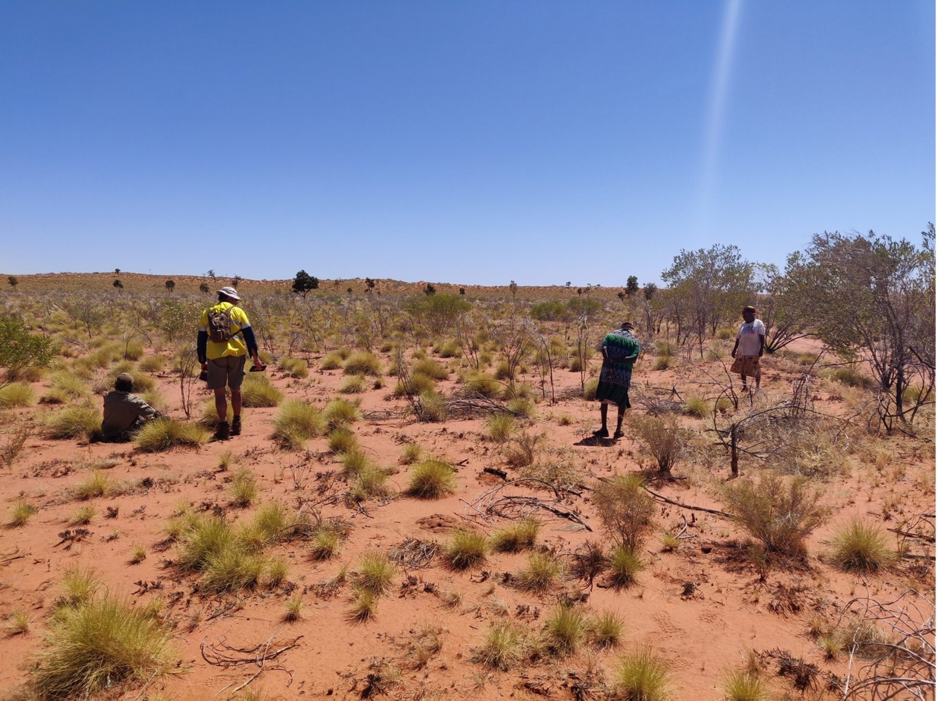 Monitoring, mapping and safeguarding Kimberley bilbies