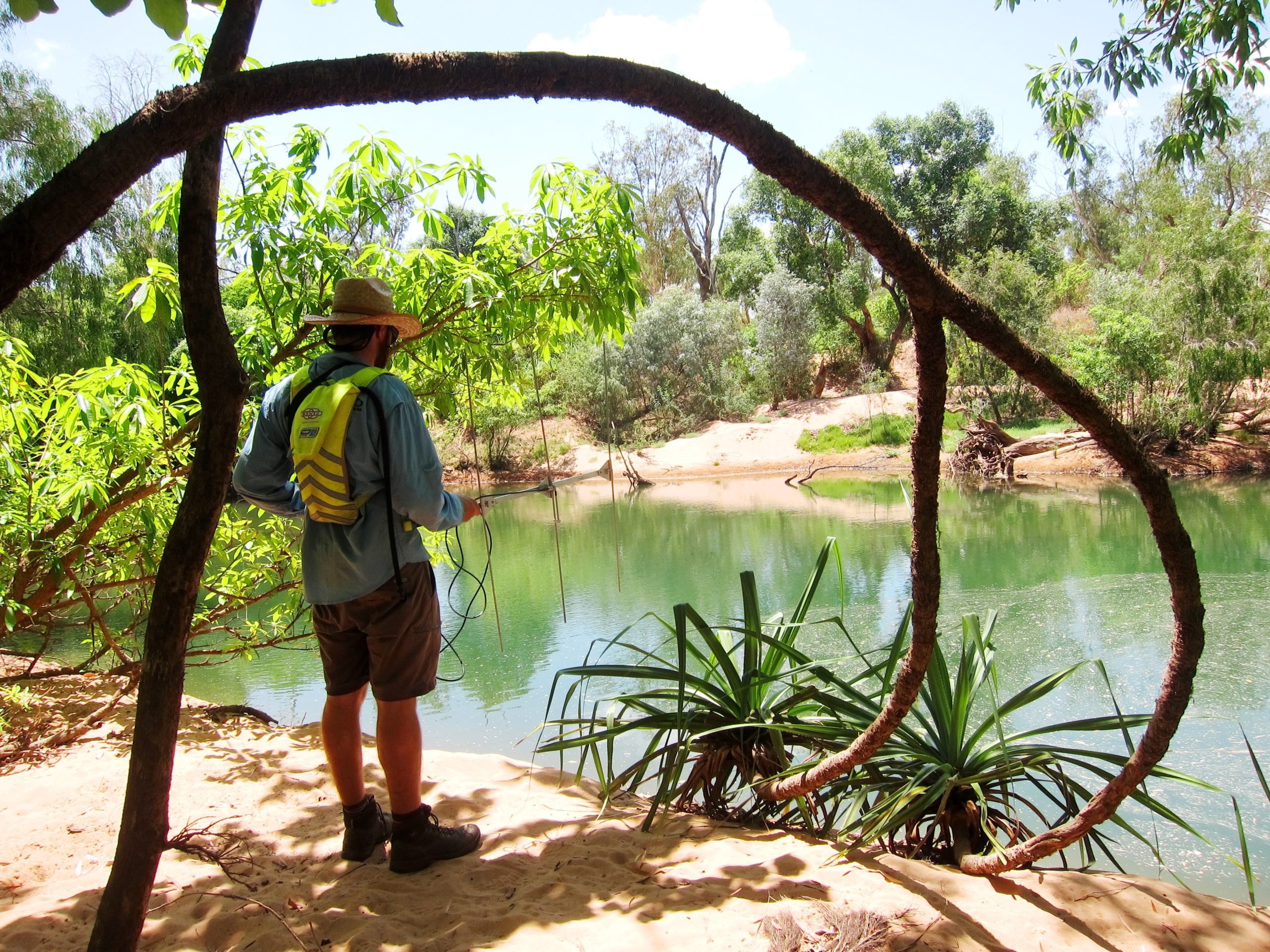 Sooty grunter in the spotlight - NESP Resilient Landscapes Hub