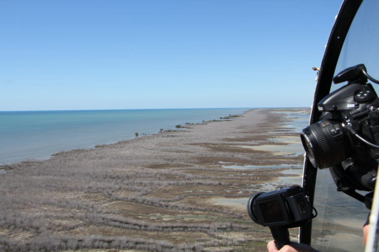 Assessing mangrove dieback in the Gulf - NESP Resilient Landscapes Hub