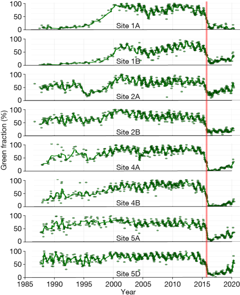 Assessing mangrove dieback in the Gulf of Carpentaria