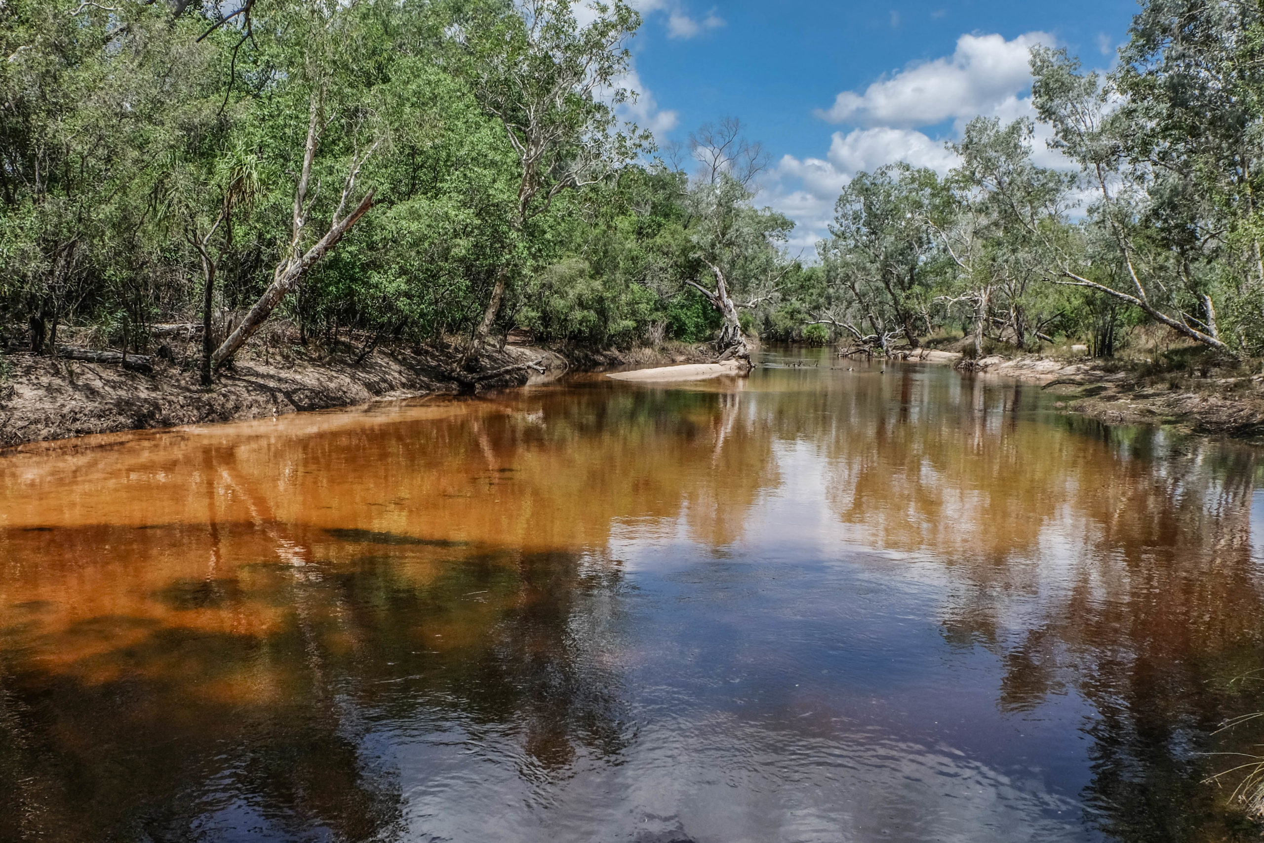 Fish movement and sensitivity to contaminated mine water - Northern Aus
