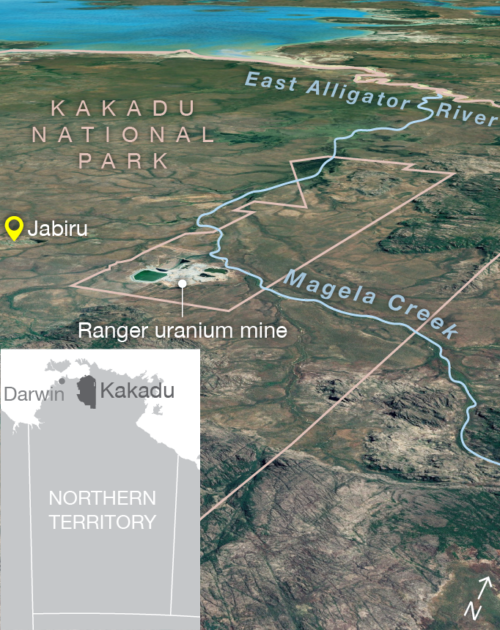 Testing the limits of riparian trees along Magela Creek - NESP ...