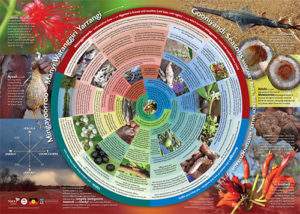 Kakadu seasonal calendar wins award - NESP Resilient Landscapes Hub