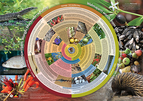 Kakadu seasonal calendar wins award - NESP Resilient Landscapes Hub