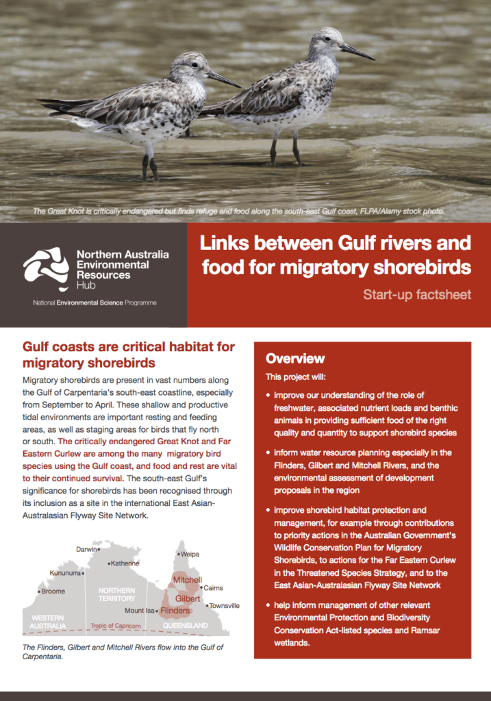 Links between Gulf rivers and food for migratory shorebirds (start-up ...