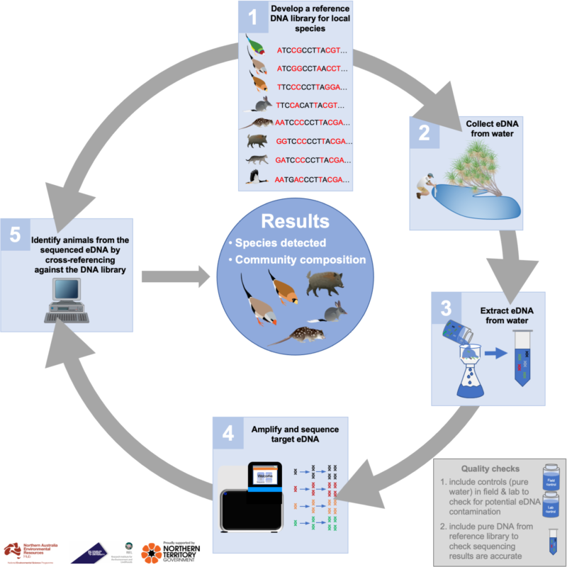 Developing eDNA methods to detect Top End animals - Northern Australia