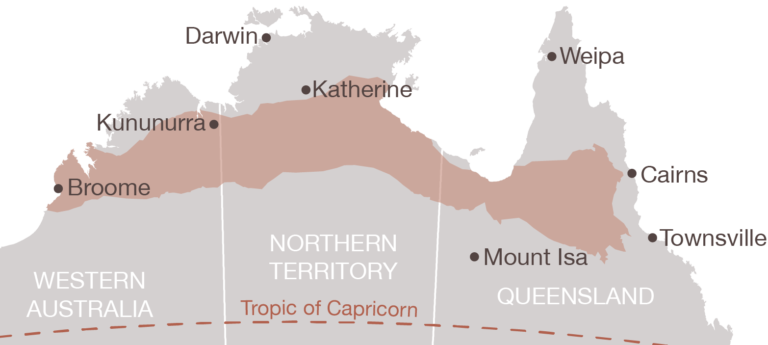 Savanna carbon sequestration method - NESP Resilient Landscapes Hub