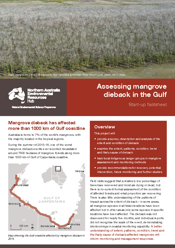 Assessing mangrove dieback in the Gulf (start-up factsheet) - NESP ...