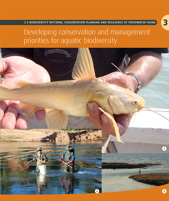Developing conservation and management priorities for aquatic ...