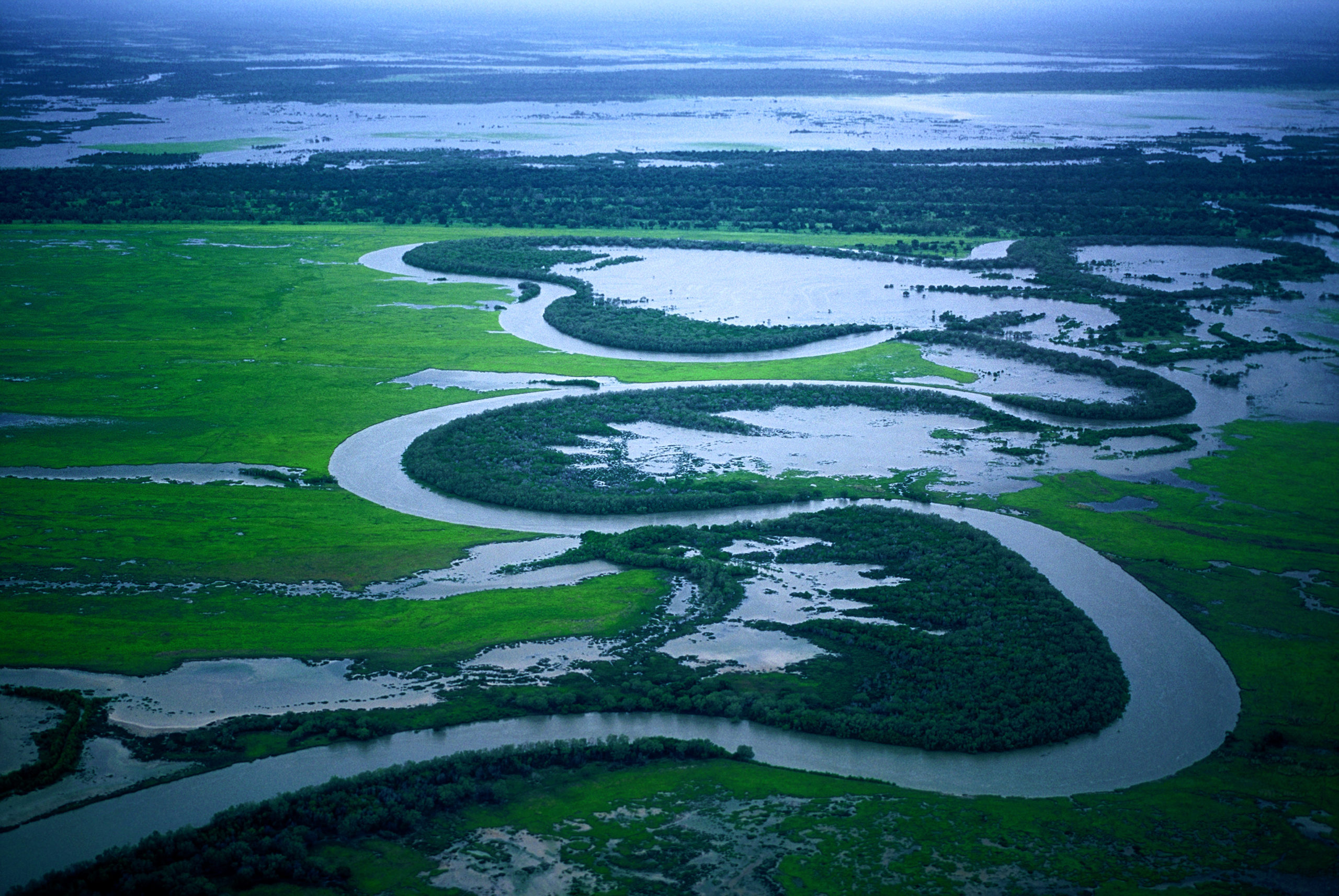 Sustaining the freshwater ecosystems and biodiversity of Queensland’s ...