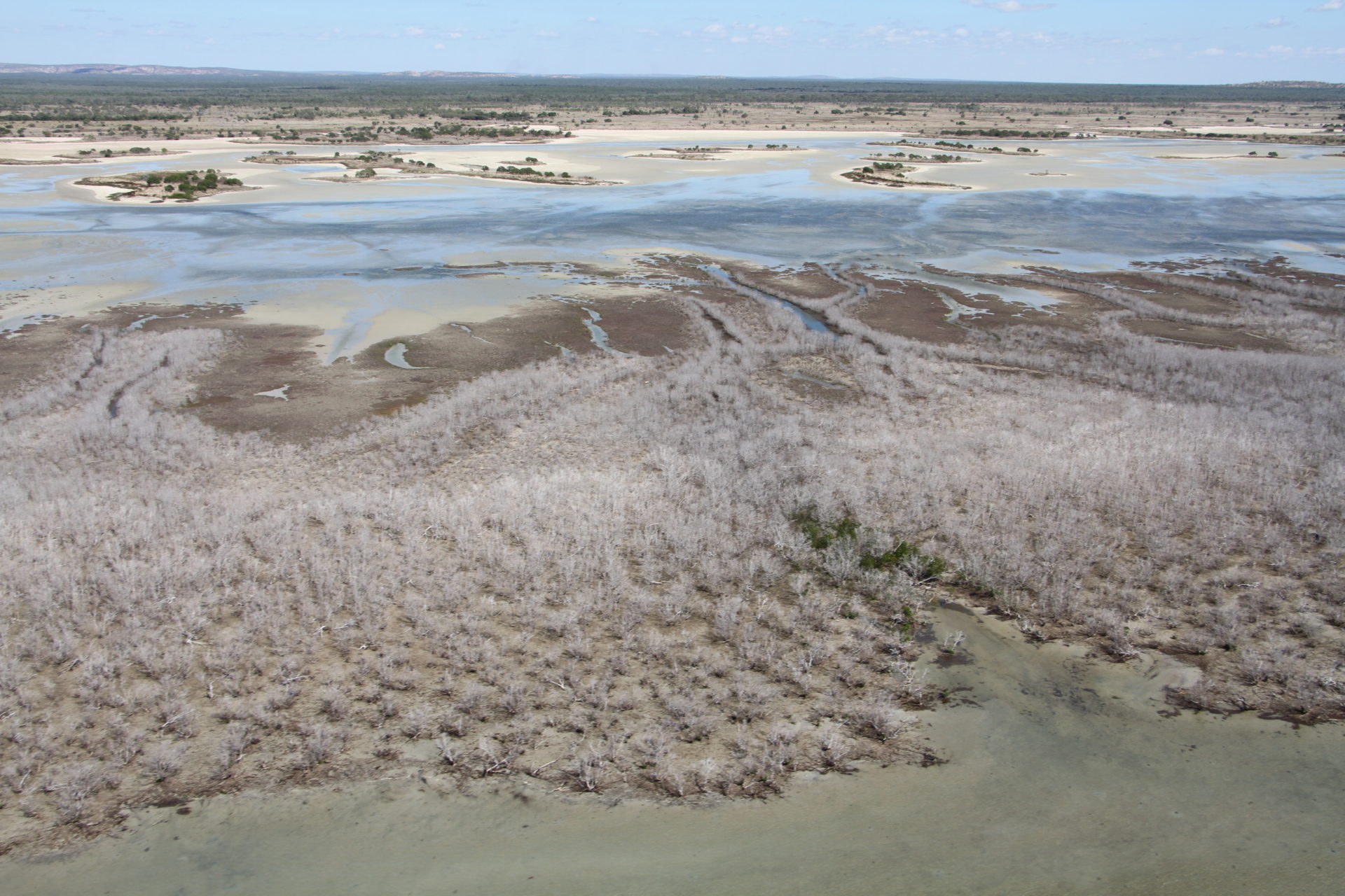 Uncovering responses to climate changes in the tropics - NESP Resilient ...