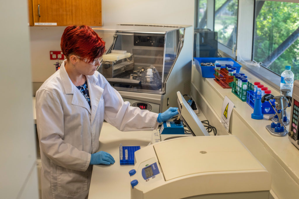 Alea Rose - NESP Resilient Landscapes Hub