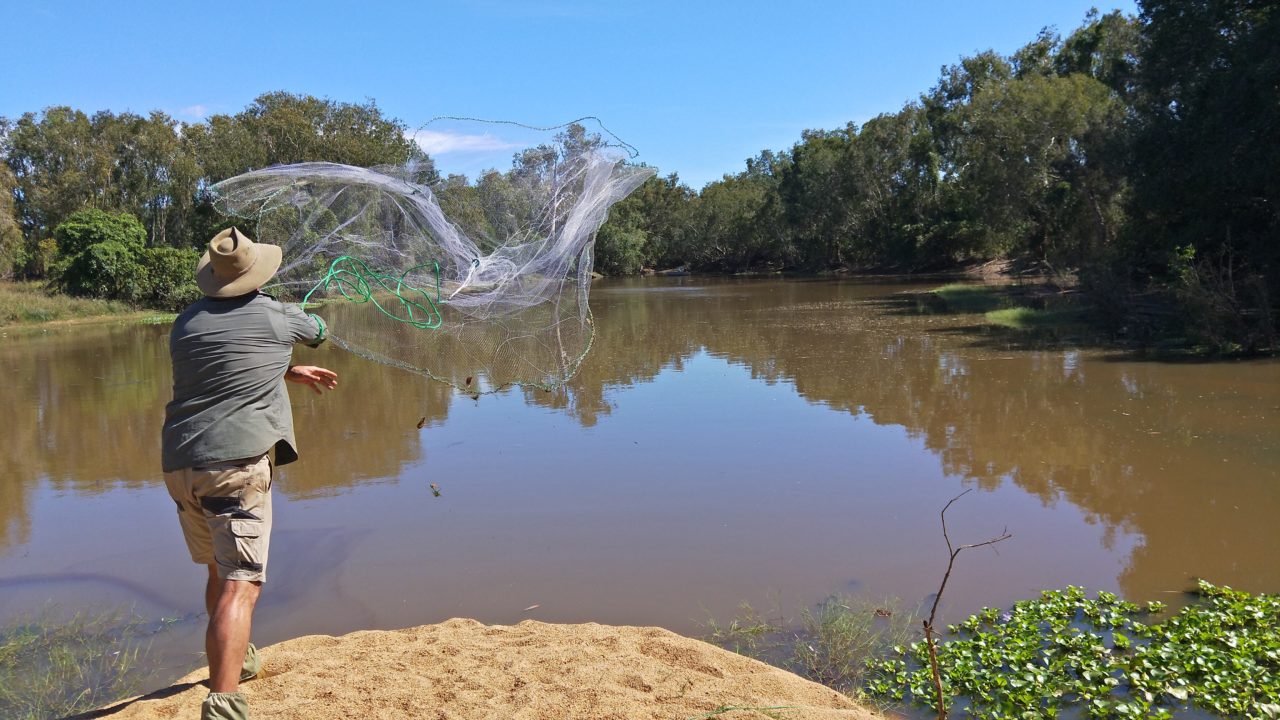 Understanding floodplain connectivity in the Mitchell River - NESP ...