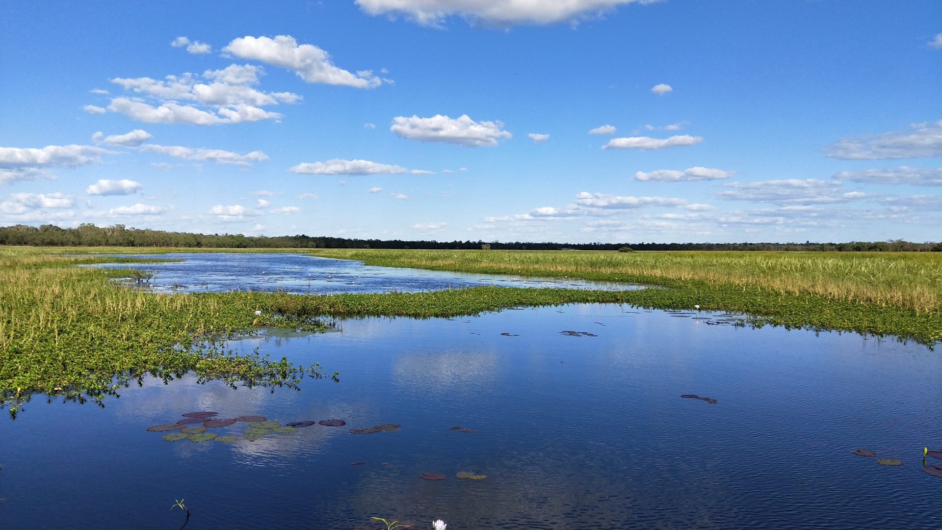 Understanding floodplain connectivity in the Mitchell River - NESP ...