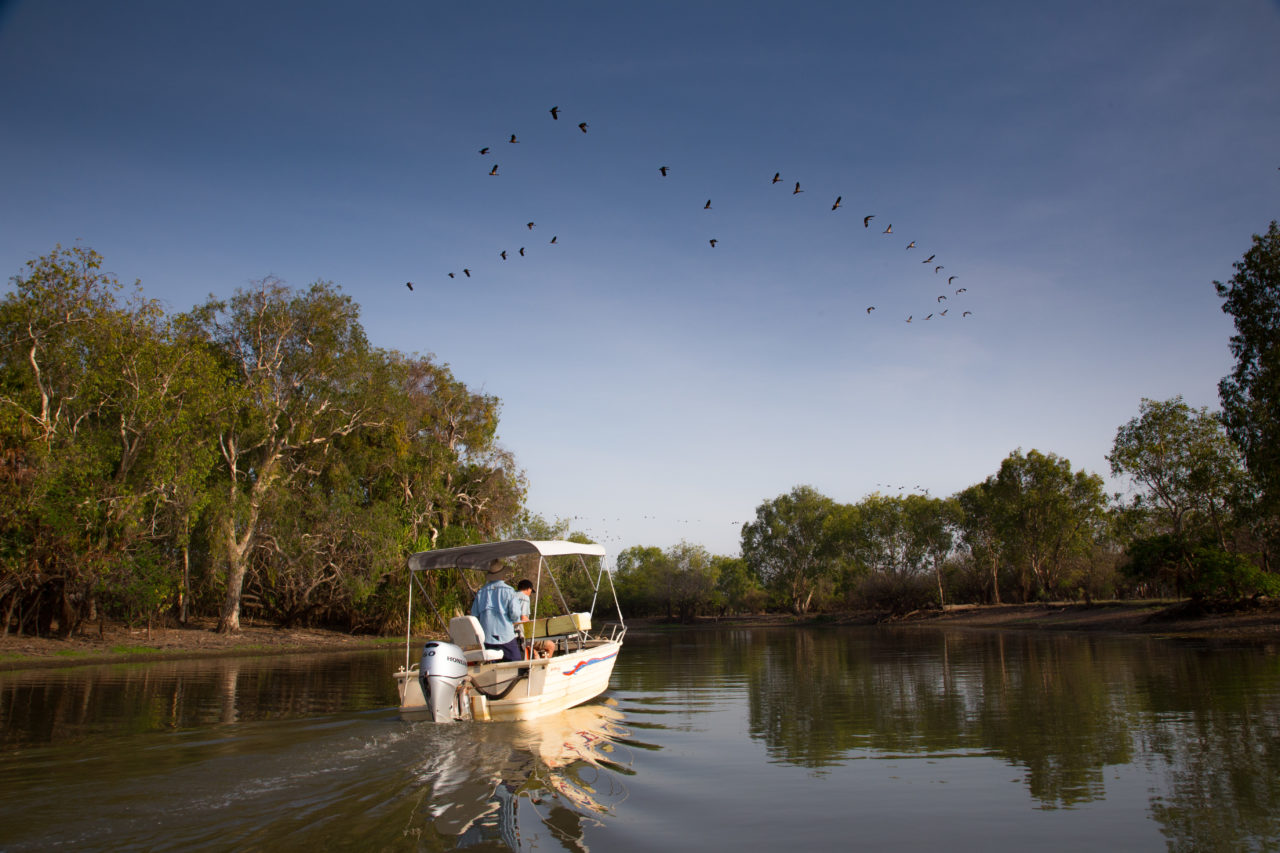 For fish, there’s no dry-season place like a home billabong - NESP ...