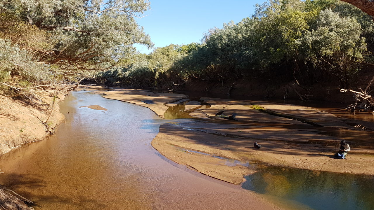 WA's Fitzroy depends on groundwater and dry-season flows - NESP ...