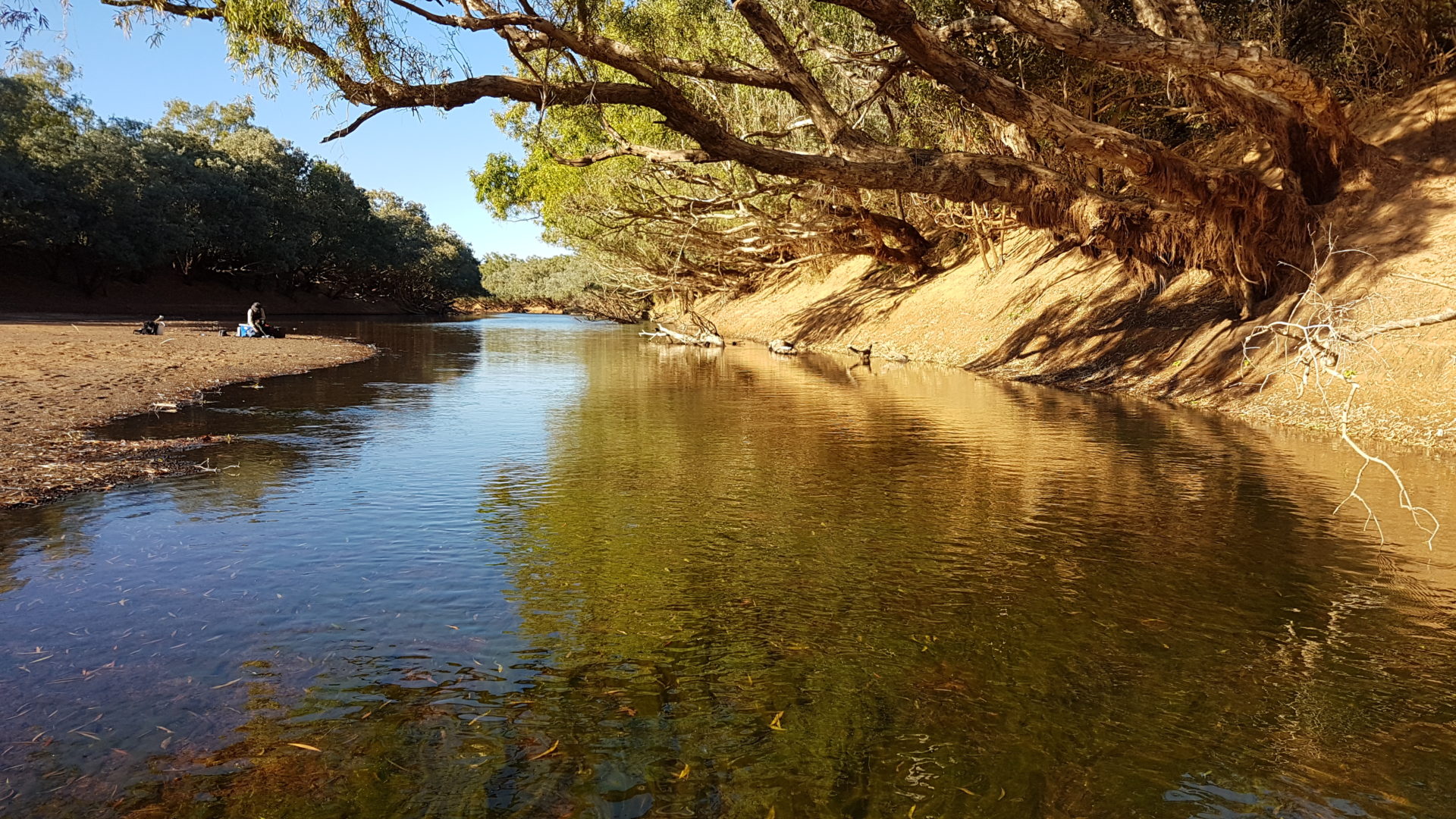 WA's Fitzroy depends on groundwater and dry-season flows - NESP ...