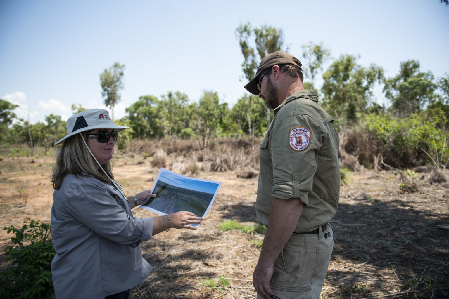 New ways to manage gamba grass & fire in Mary River National Park (NT ...