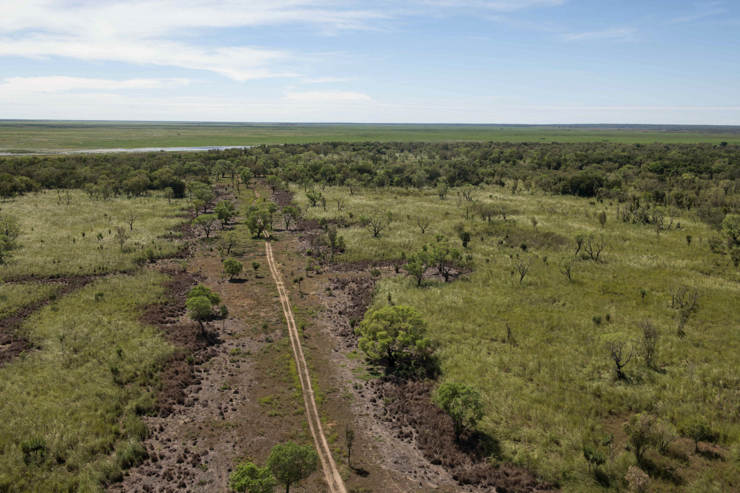 New ways to manage gamba grass & fire in Mary River National Park (NT ...