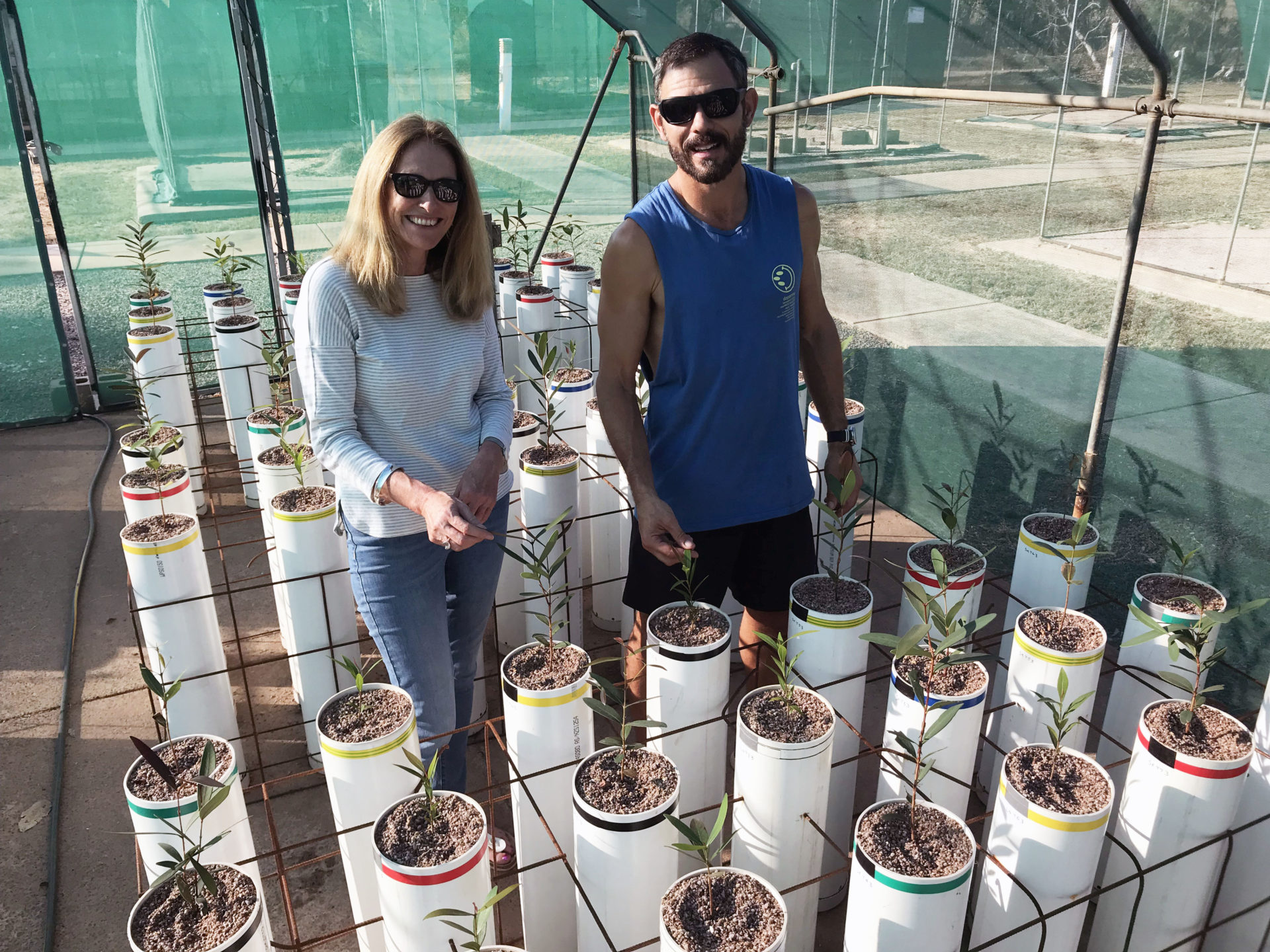 Filling knowledge gaps for the rehabilitation of Ranger uranium mine ...