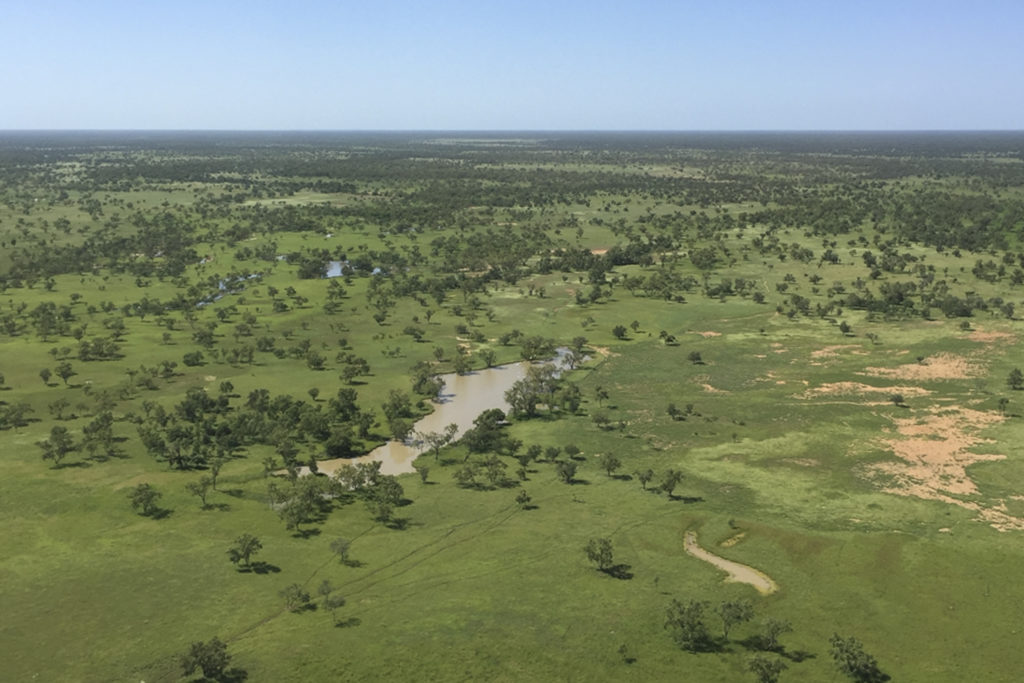 River flows the key to productive Gulf floodplains - NESP Resilient ...