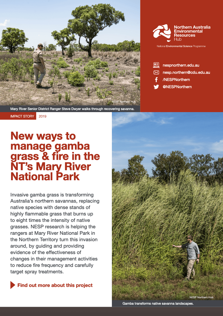 New ways to manage gamba grass & fire in the NT’s Mary River National ...