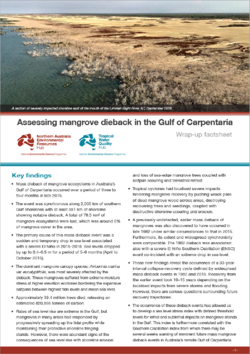 Assessing mangrove dieback in the Gulf of Carpentaria
