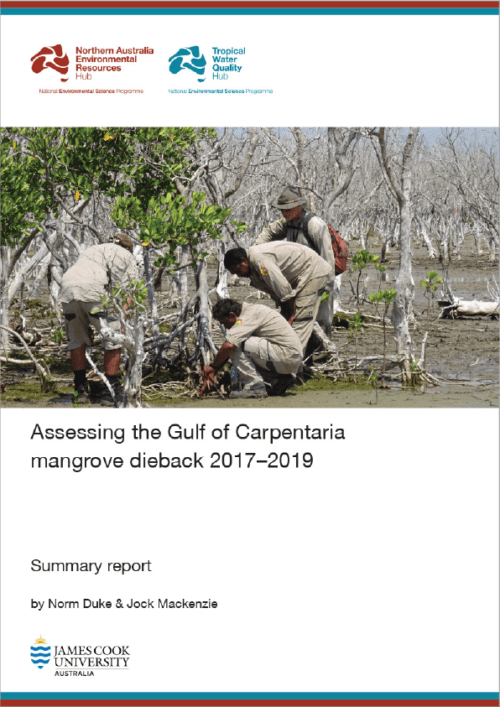 Assessing mangrove dieback in the Gulf of Carpentaria