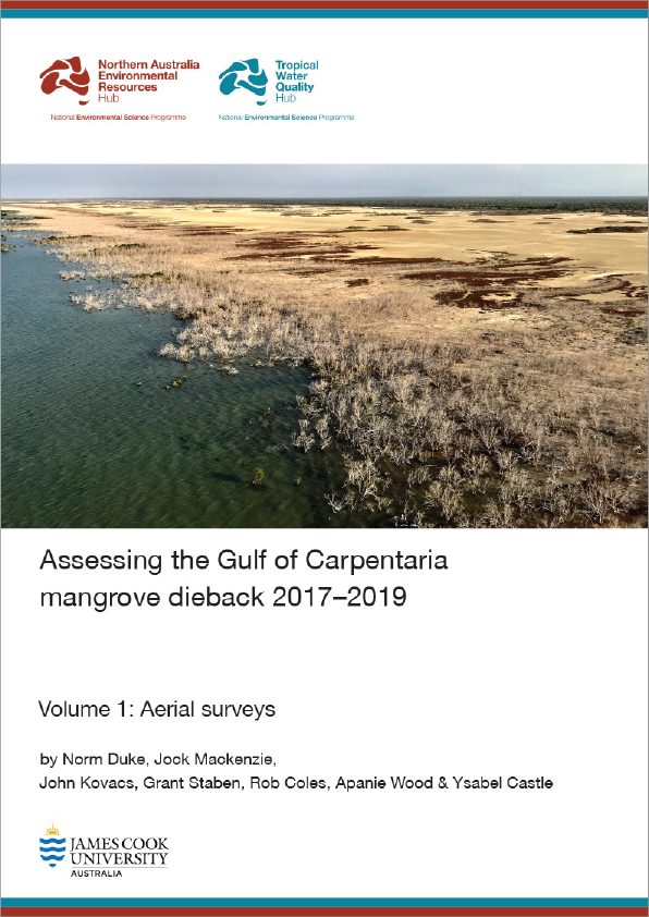 Assessing mangrove dieback in the Gulf of Carpentaria