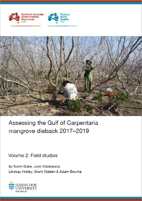 Assessing mangrove dieback in the Gulf of Carpentaria