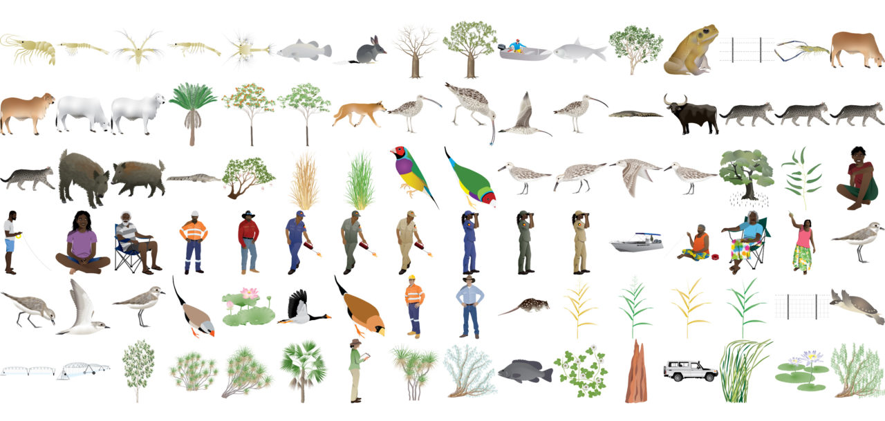 Symbols for science engagement - NESP Resilient Landscapes Hub
